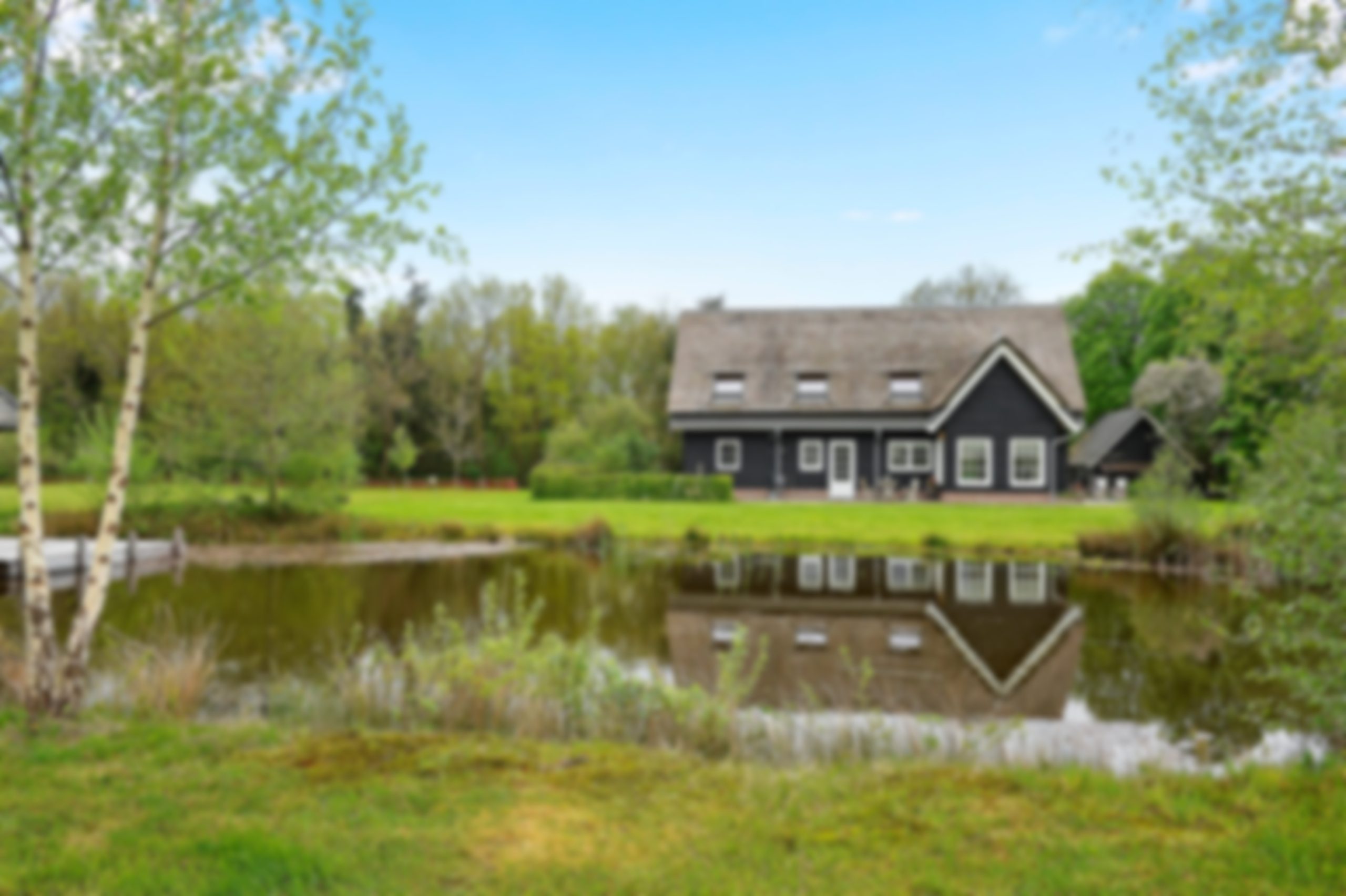 Roy Kregel - Schelhaas Makelaardij