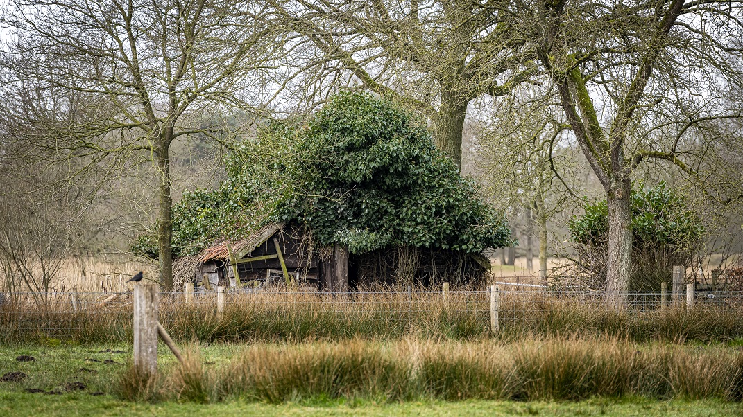 Schelhaas Makelaardij partner bij Ruimte voor Ruimte-regeling ...